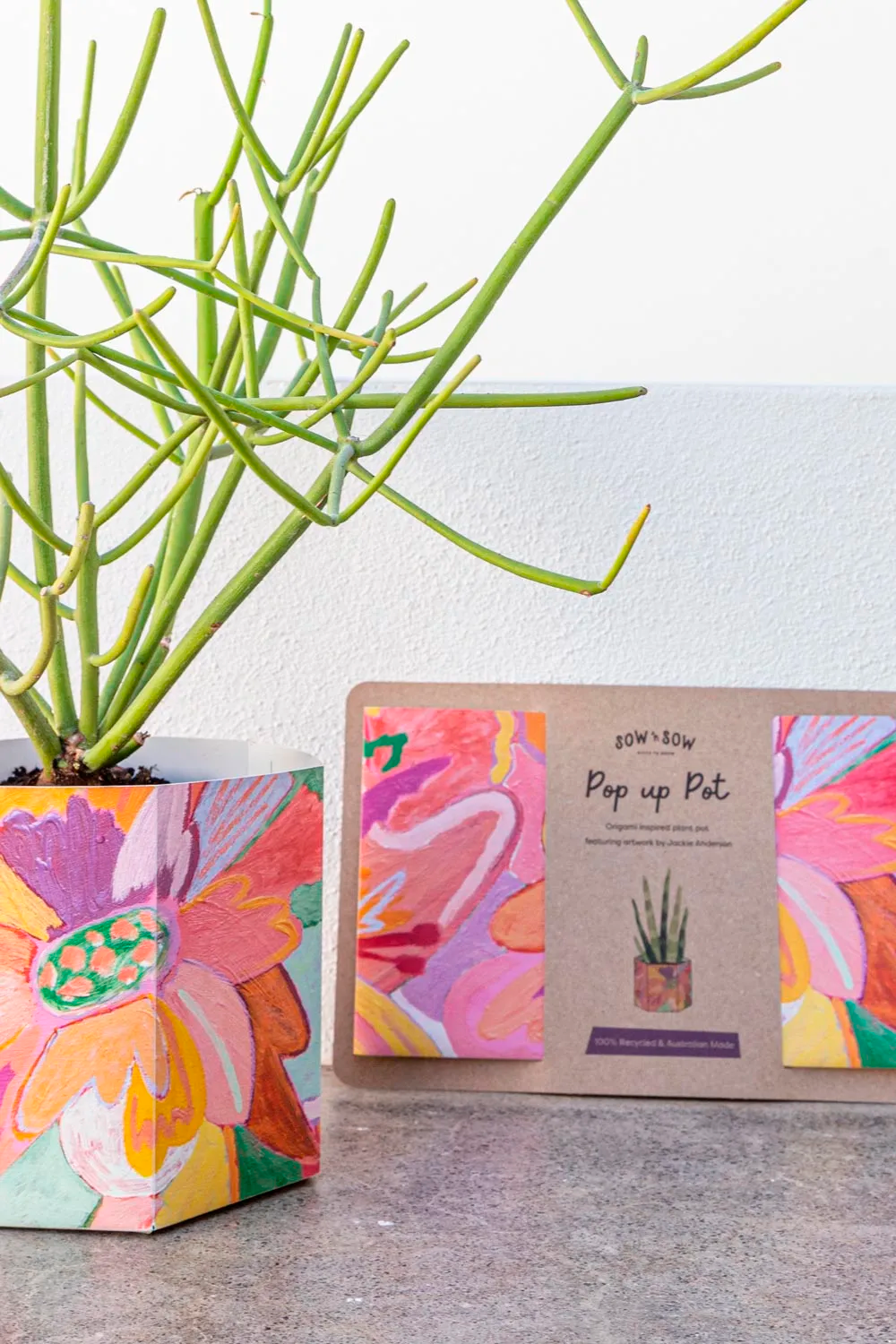 Pop Up Pot ‘Bloom’ Medium | The Paper Blooms Co
